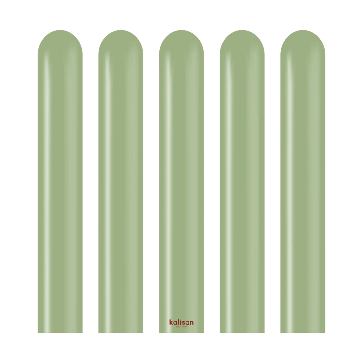 Kalisan Nozzle Up Retro Eucalyptus - 360 Modelling 3"/60", 50 Pieces ...